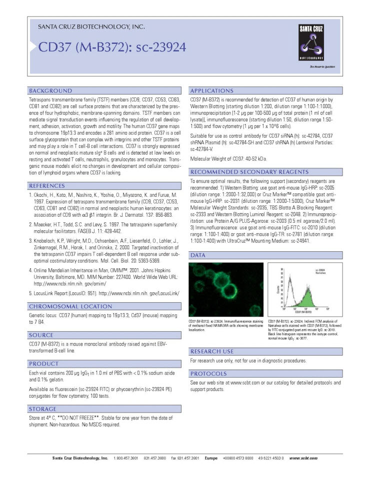 랩캠퍼스(Labcampus) : [항체] - CD37 (M-B372) Antibody